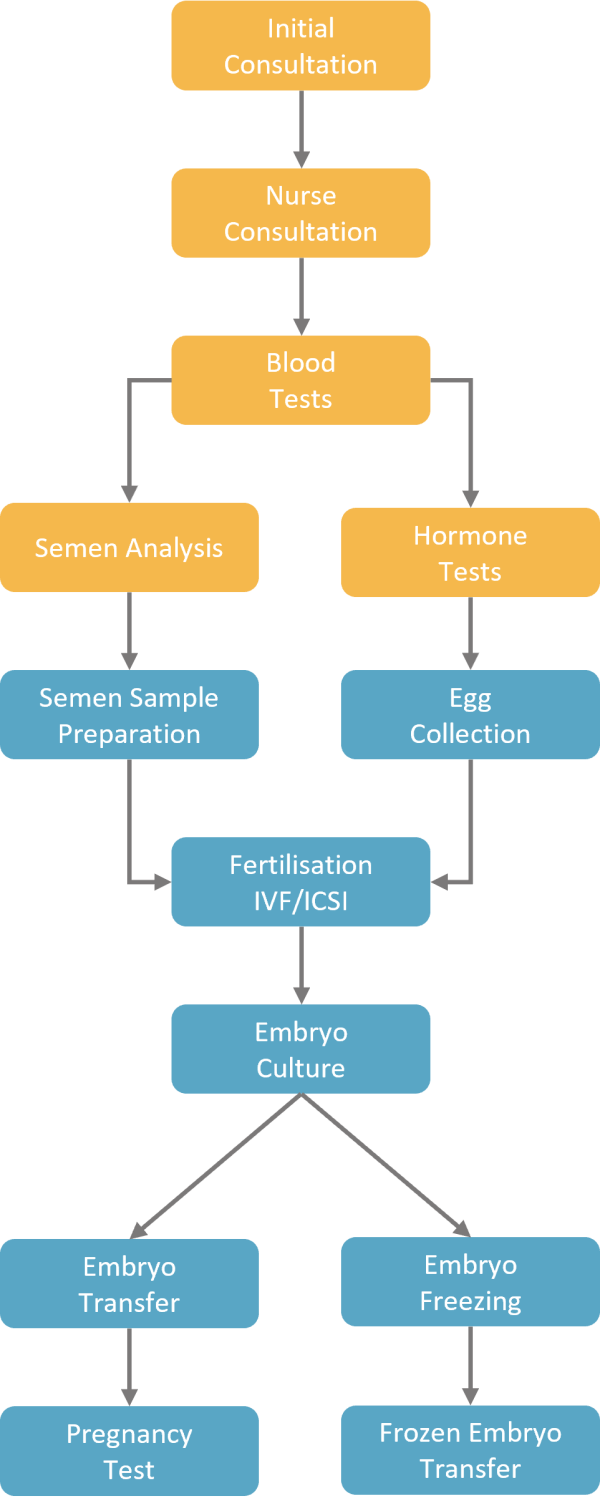In Vitro Fertilisation Clinic | IVF Treatment & Process Explained