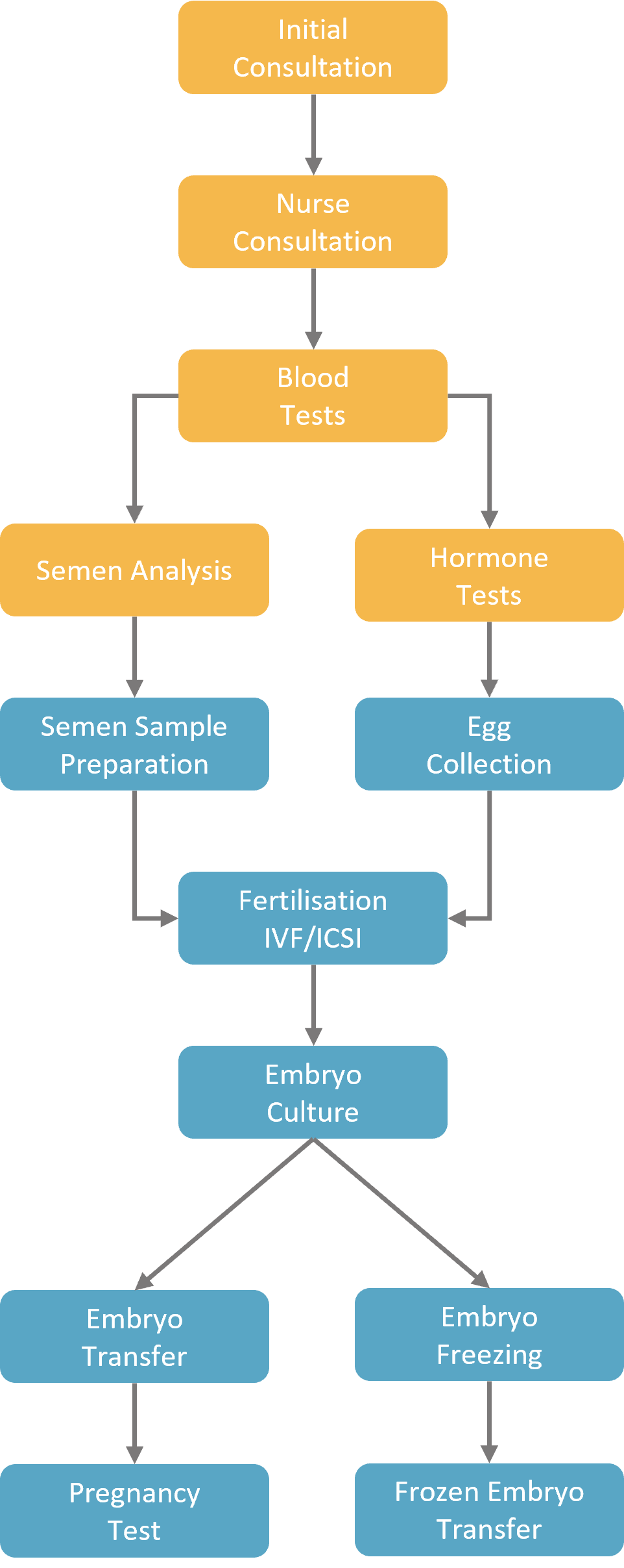 In Vitro Fertilisation Experts | IVF Treatment in London